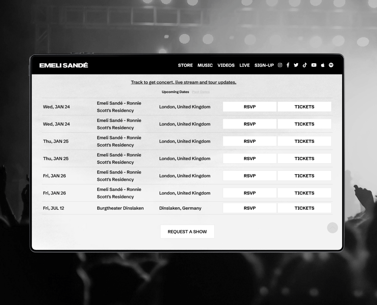 Band Websites - WordPress Theme for Musicians